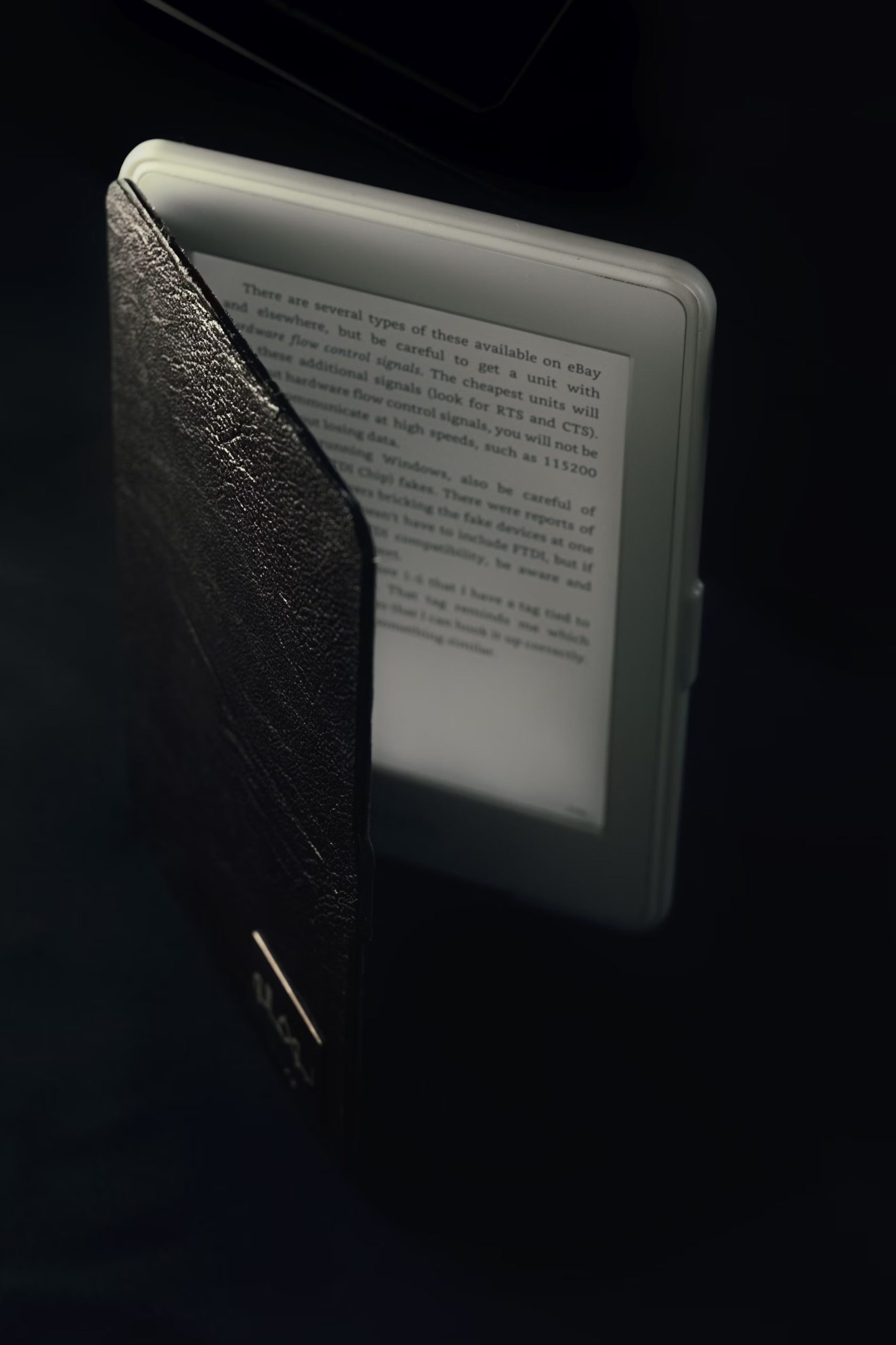 Dawnborn – Game Transcripts, Fanfictions & Original Works